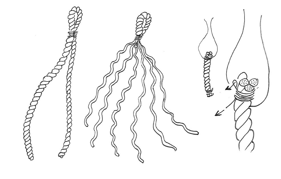 Rope Fenders | Small Boats