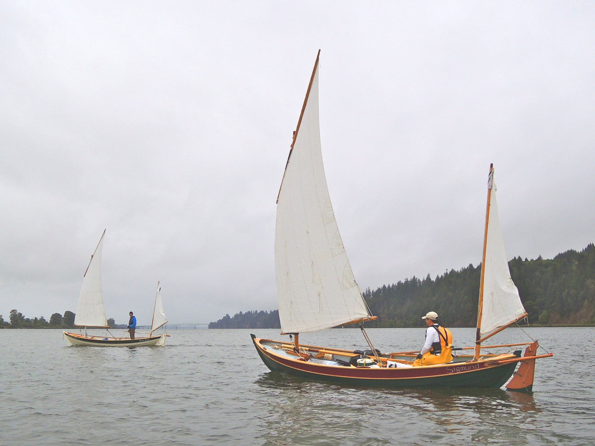 Arctic Tern | Small Boats