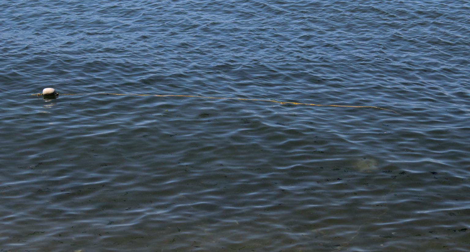 Anchors Astray | Small Boats