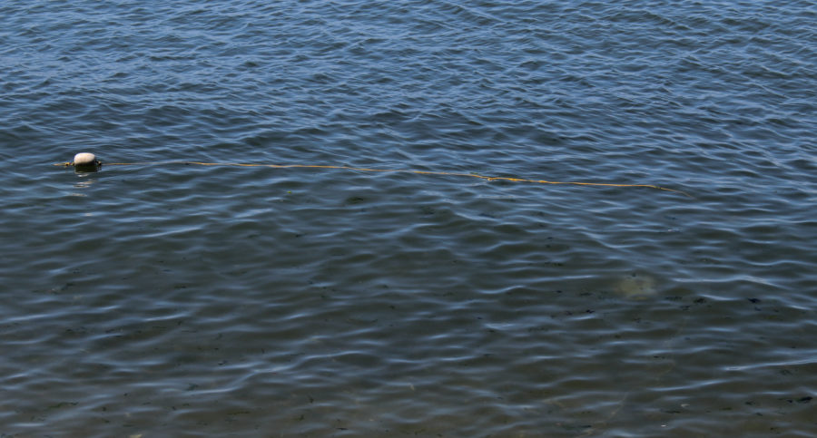 Anchors Astray | Small Boats