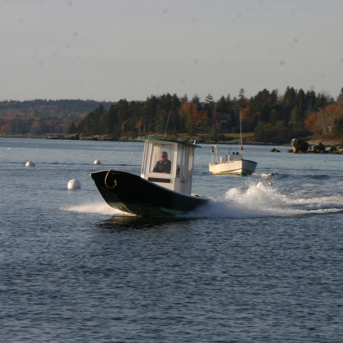The Ben Garveys | Small Boats