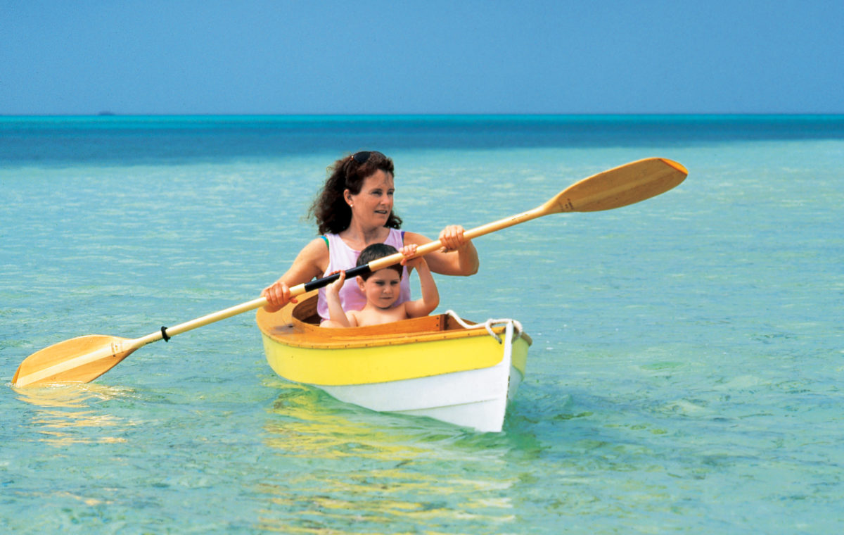 Fiddlehead | Small Boats