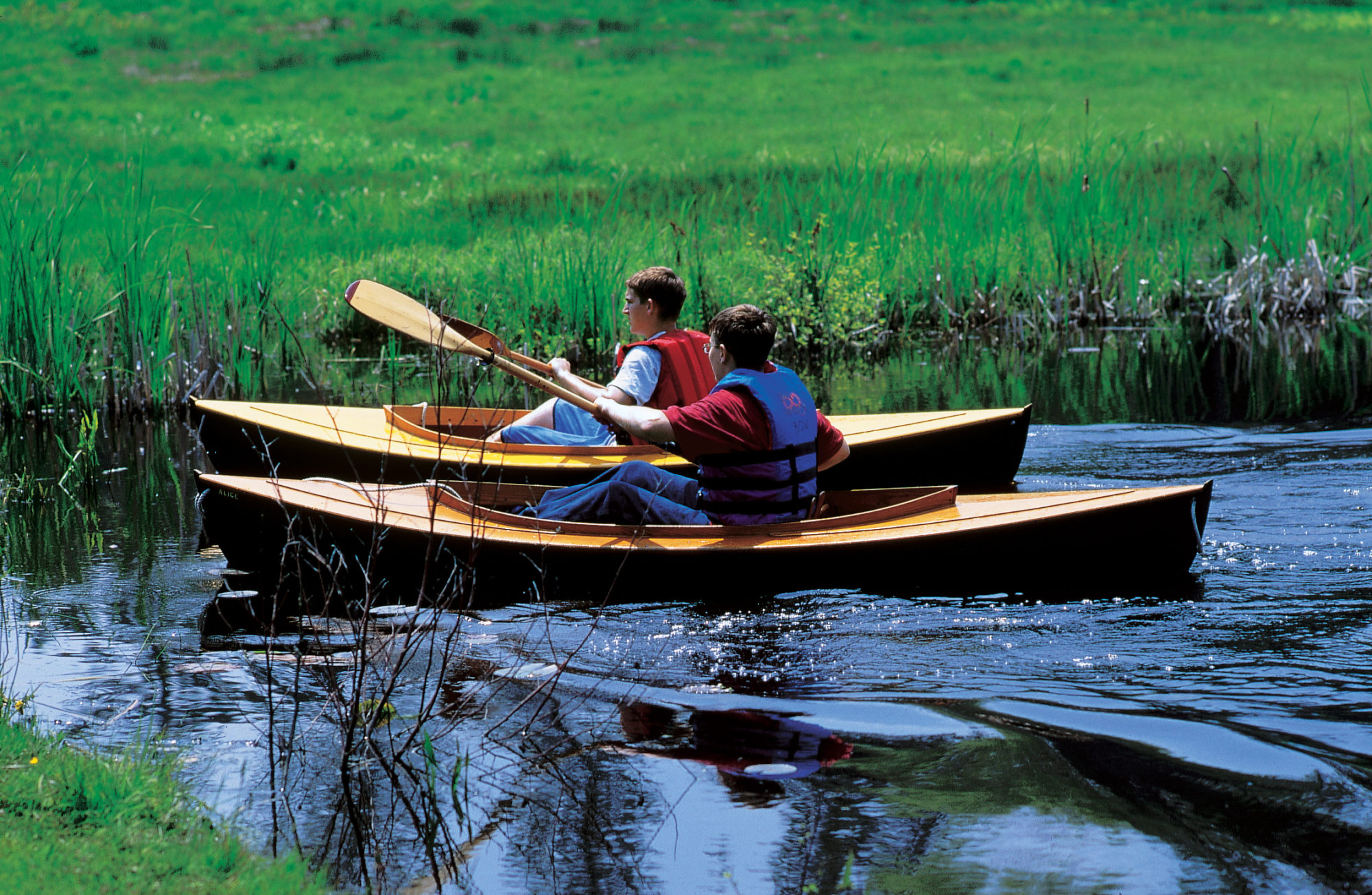 Fiddlehead - Small Boats Magazine