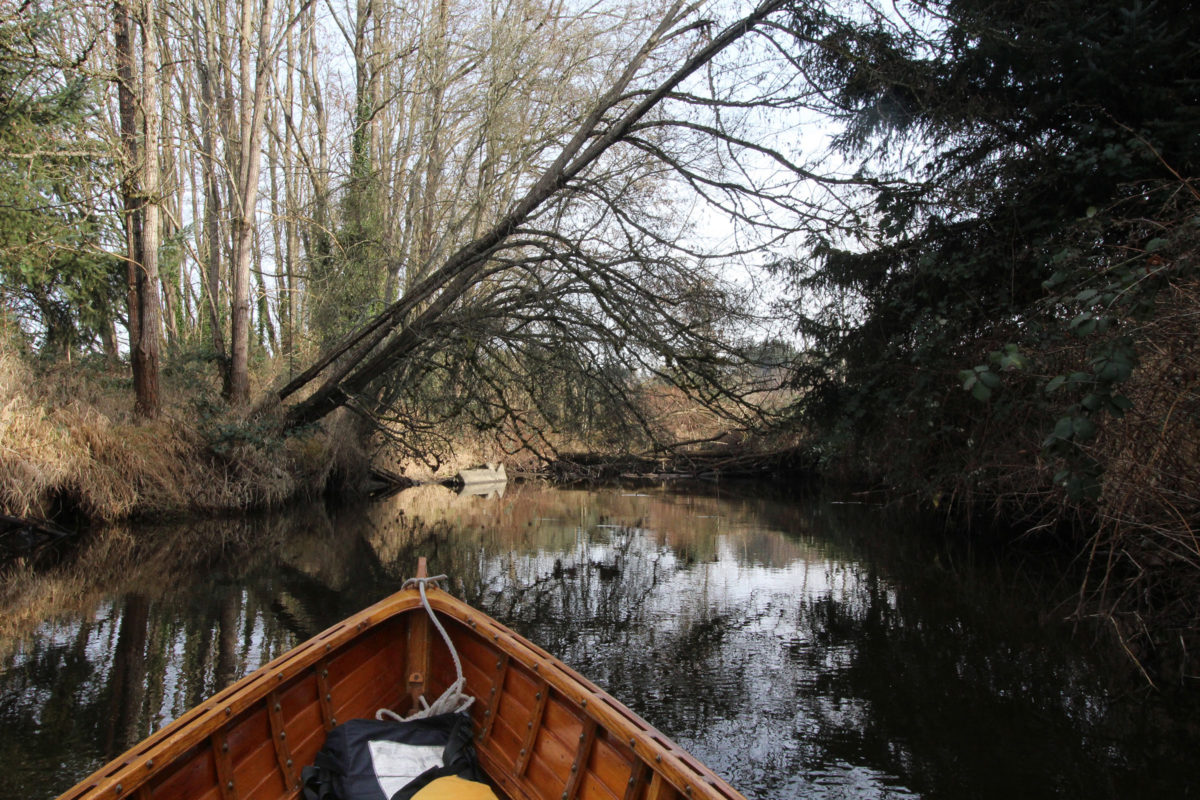 Swamp Creek | Small Boats