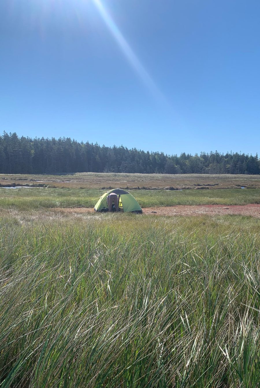 Pond Island | Small Boats