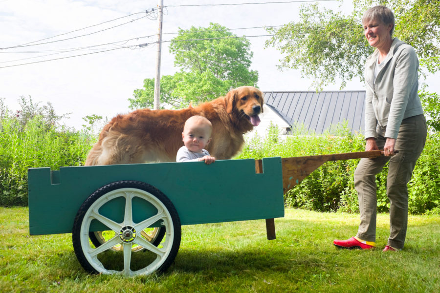 A DIY Boat Cart | Small Boats