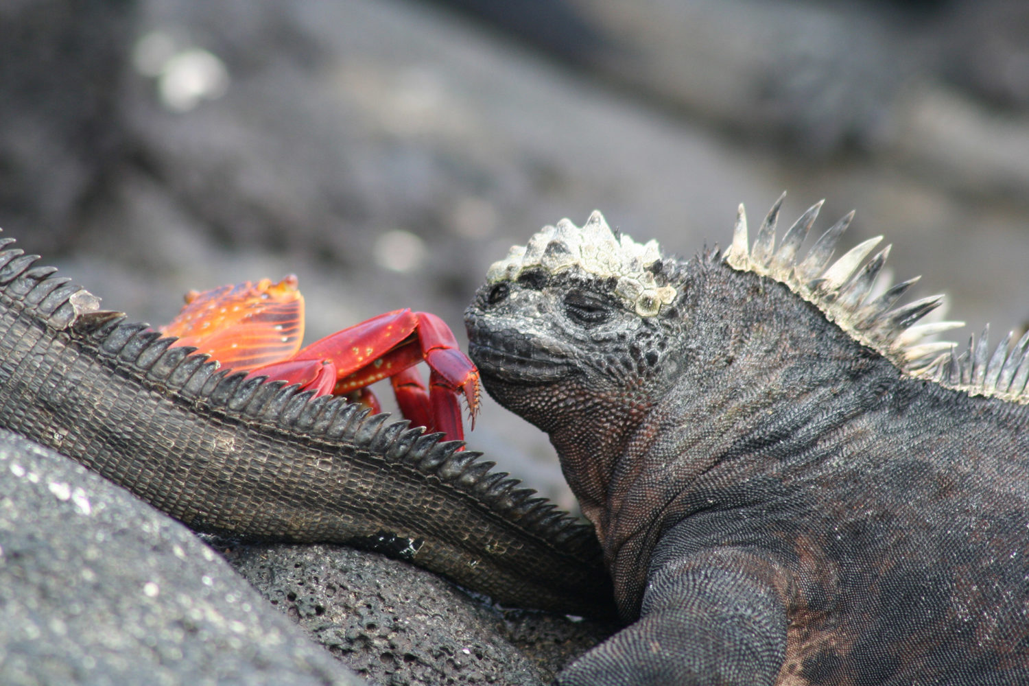 Seil 18 | Small Boats